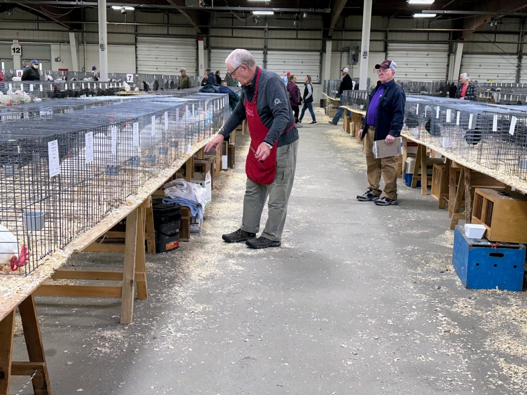 The 2023 Northeastern Poultry Congress in Springfield, Massachusetts ...