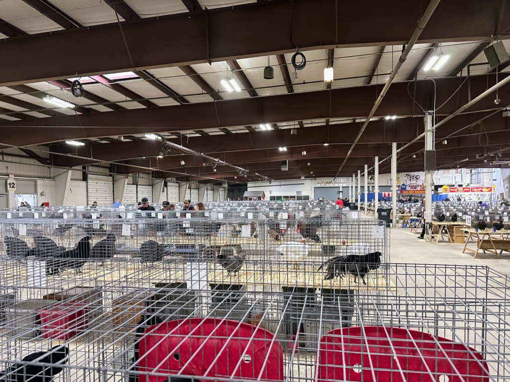 The 2023 Northeastern Poultry Congress in Springfield, Massachusetts ...