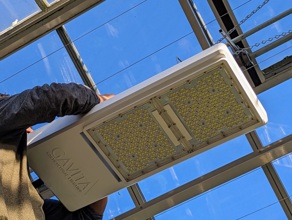 Installing LED Grow Lights in My Vegetable Greenhouse - The Martha ...