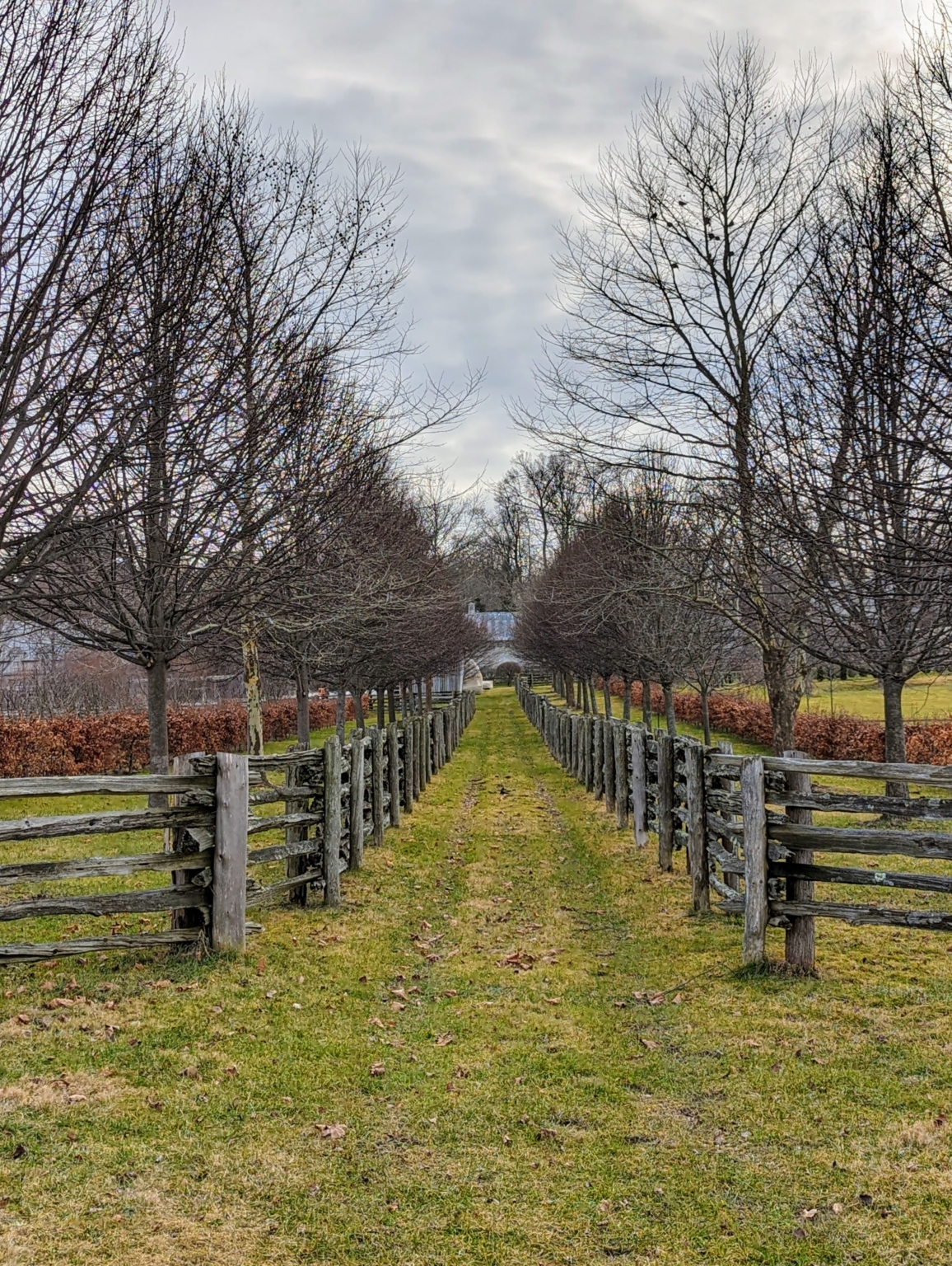 A Look at the Deciduous and Evergreen Trees at My Farm - The Martha ...