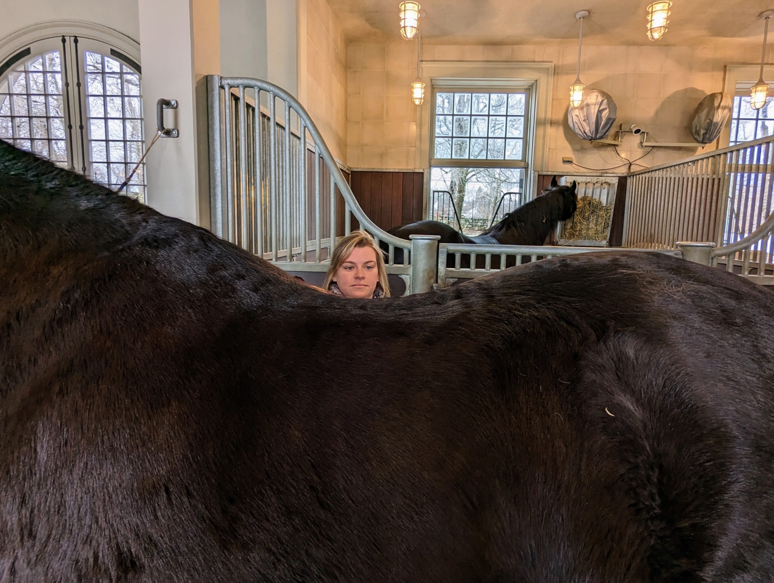 The Saddle-Fitter Visits the Farm - The Martha Stewart Blog