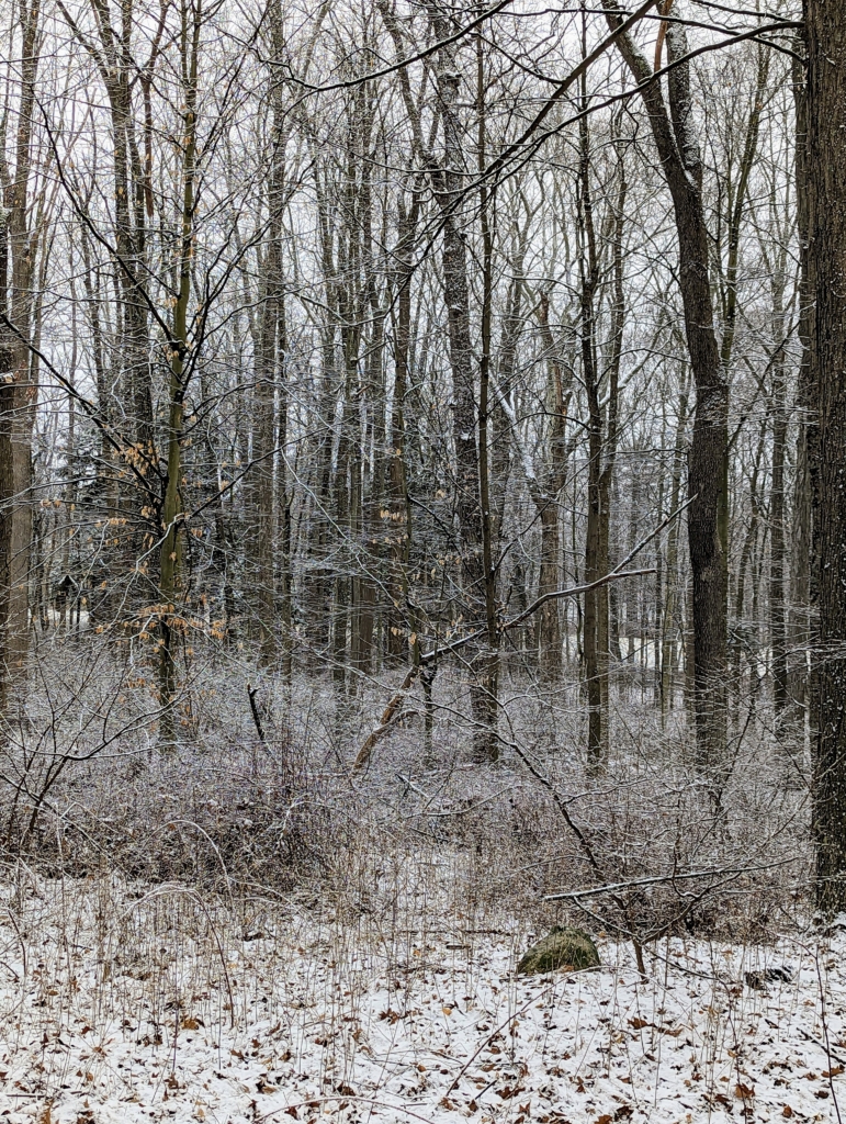 Light Snow Over My Farm - The Martha Stewart Blog