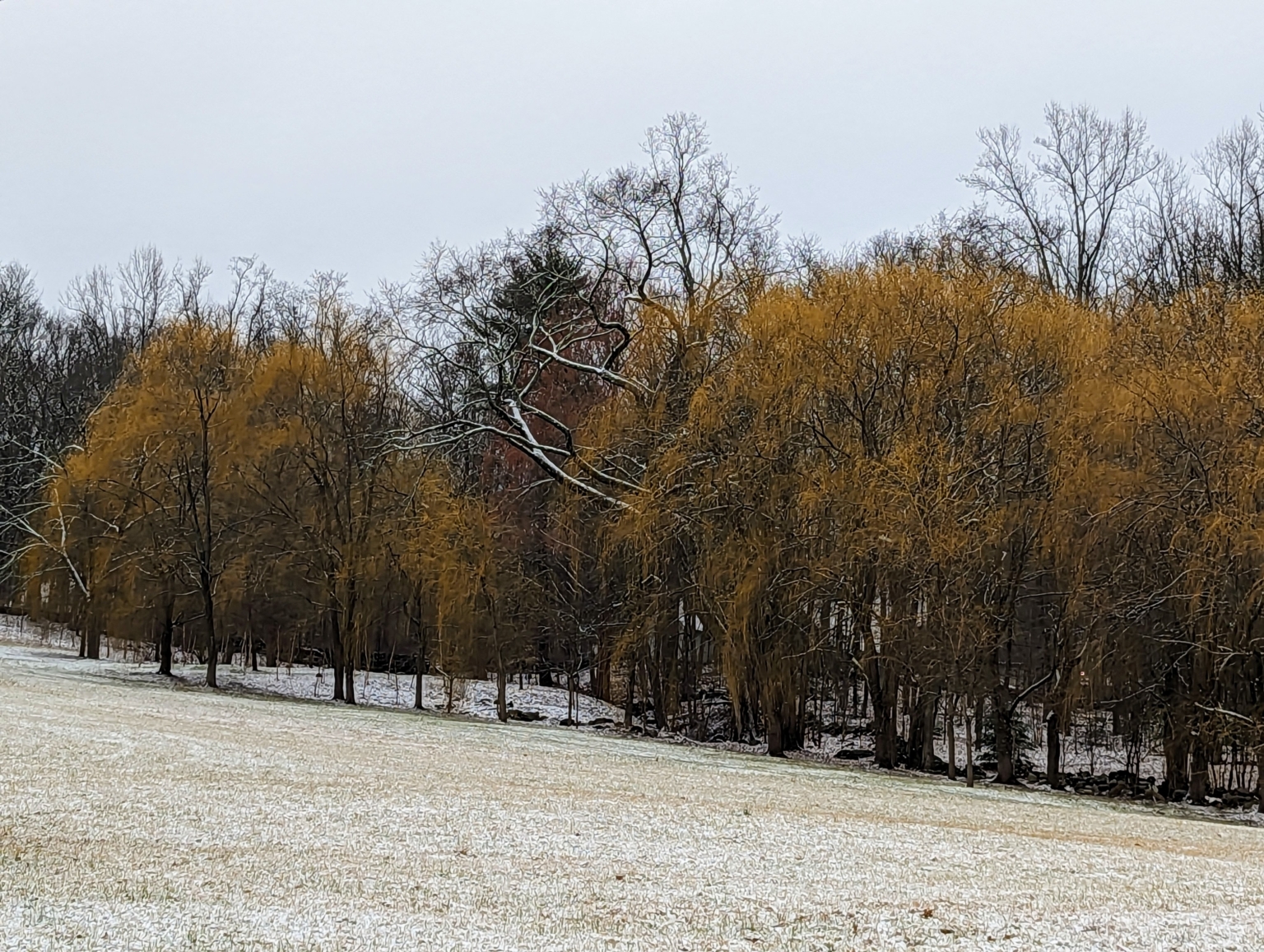 Light Snow Over My Farm - The Martha Stewart Blog