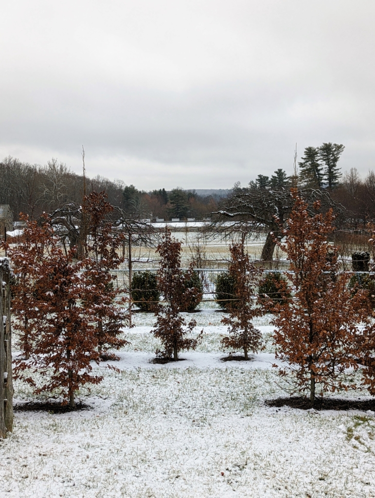 Light Snow Over My Farm - The Martha Stewart Blog