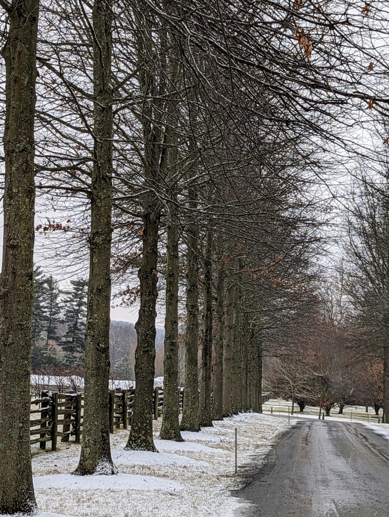 Light Snow Over My Farm - The Martha Stewart Blog