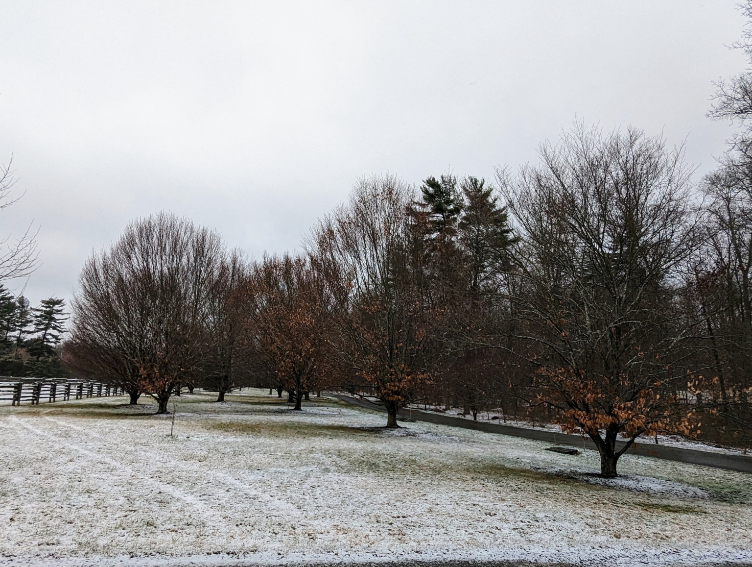 Light Snow Over My Farm - The Martha Stewart Blog