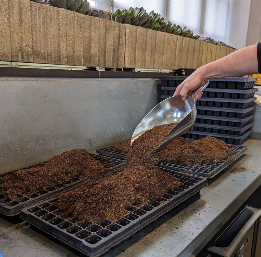 Seed Starting with Johnny's Selected Seeds - The Martha Stewart Blog
