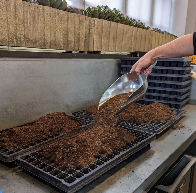 Seed Starting with Johnny's Selected Seeds - The Martha Stewart Blog