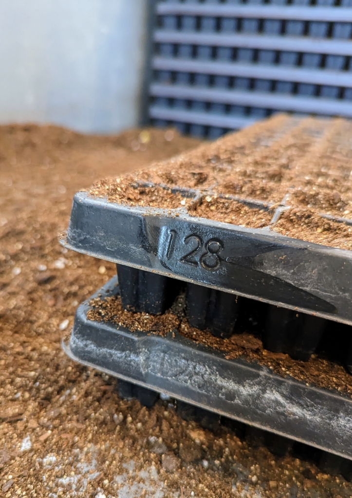 The Martha Stewart Blog : Blog Archive Seed Starting with Johnny's ...