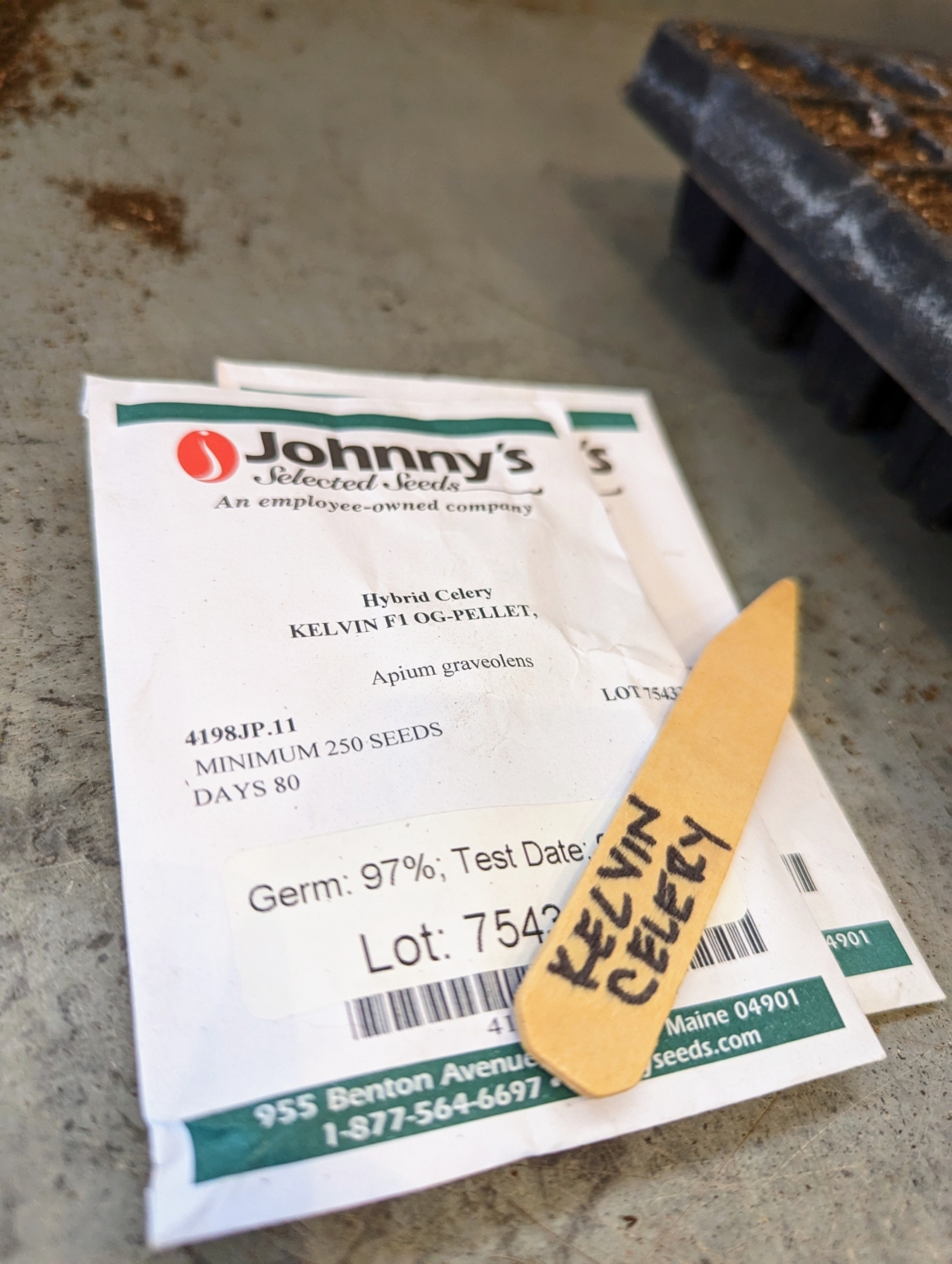 Seed Starting with Johnny's Selected Seeds - The Martha Stewart Blog