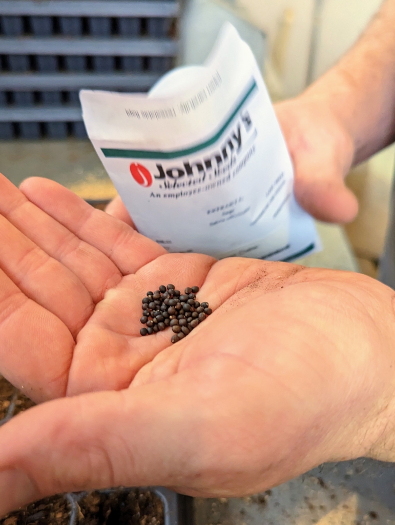 Seed Starting with Johnny's Selected Seeds - The Martha Stewart Blog