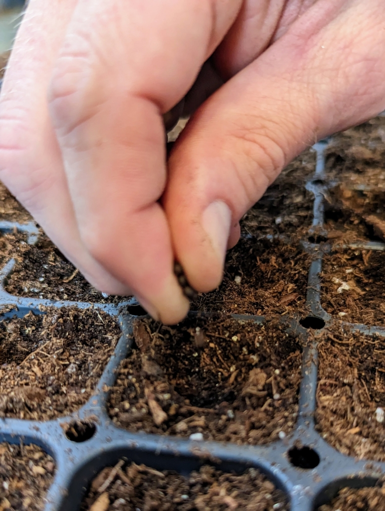 The Martha Stewart Blog : Blog Archive Seed Starting with Johnny's ...