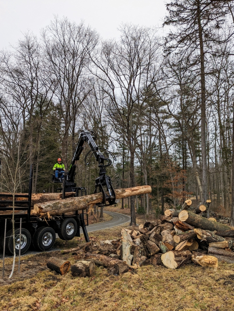 Moving Many Logs and Stumps to the Compost Yard - The Martha Stewart Blog