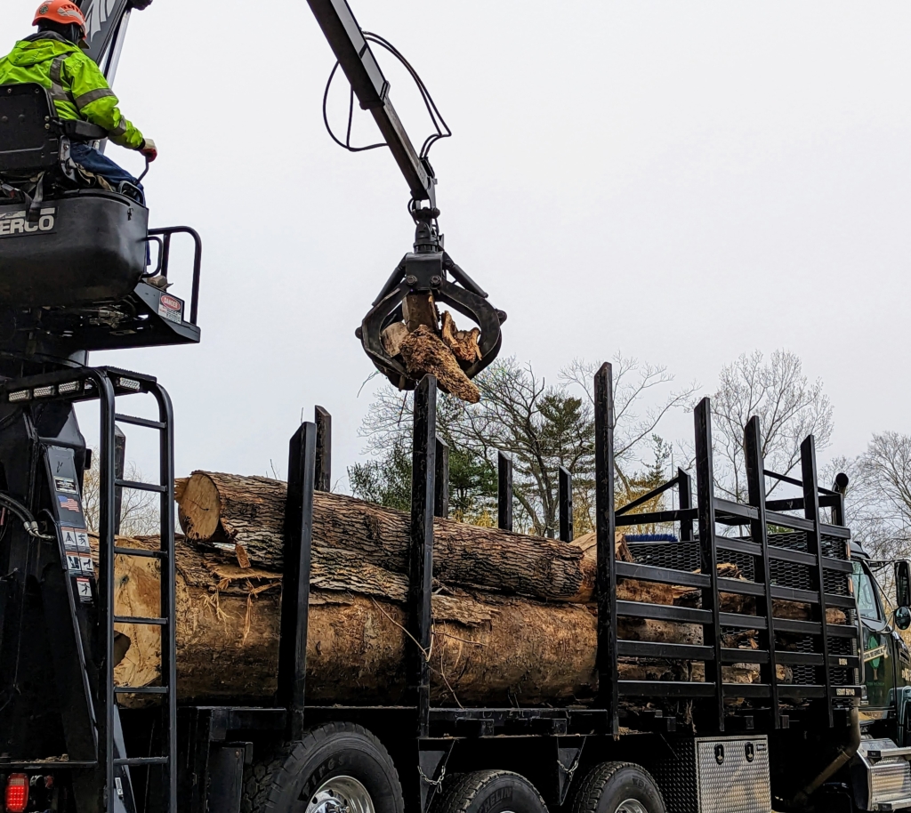 Moving Many Logs and Stumps to the Compost Yard - The Martha Stewart Blog