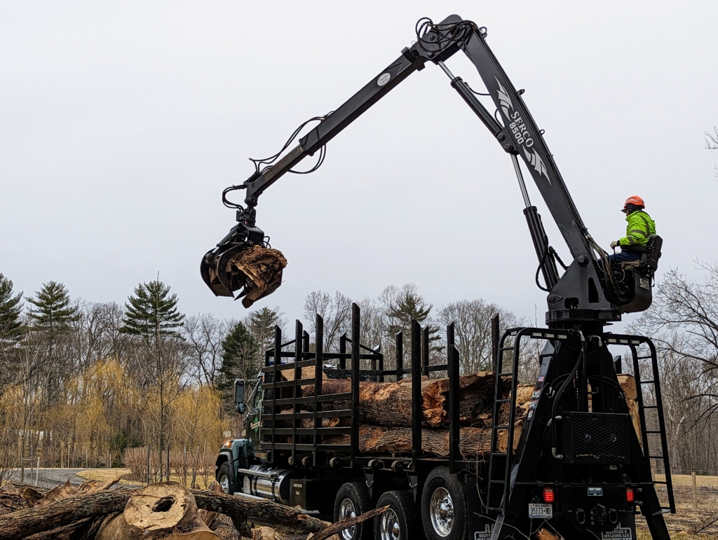 Moving Many Logs and Stumps to the Compost Yard - The Martha Stewart Blog