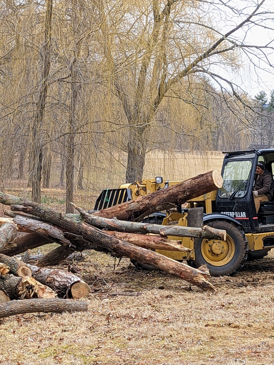 Moving Many Logs and Stumps to the Compost Yard - The Martha Stewart Blog