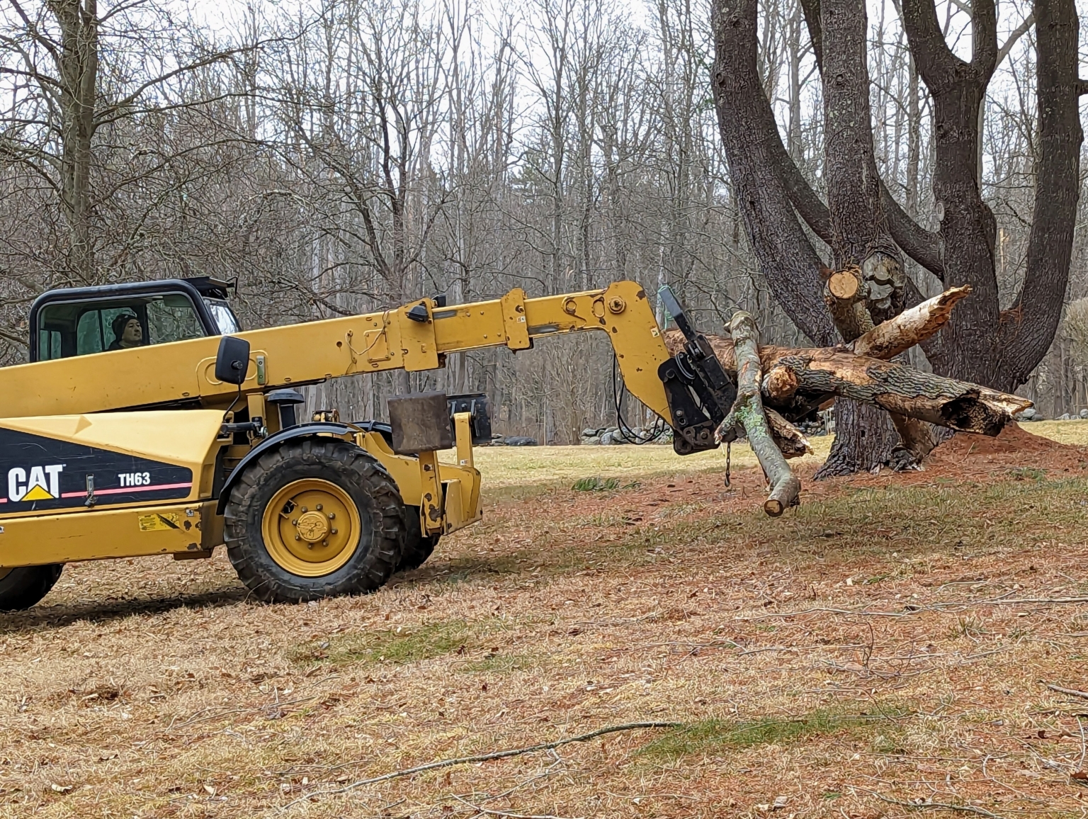 Moving Many Logs and Stumps to the Compost Yard - The Martha Stewart Blog