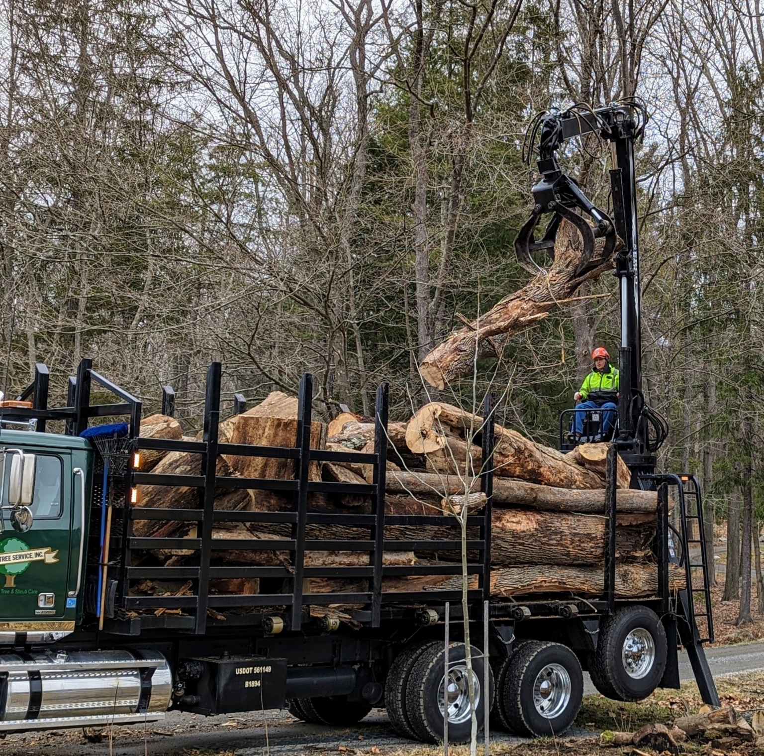 Moving Many Logs and Stumps to the Compost Yard - The Martha Stewart Blog