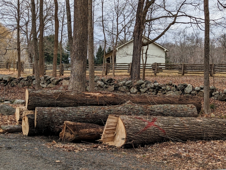 Moving Many Logs and Stumps to the Compost Yard - The Martha Stewart Blog