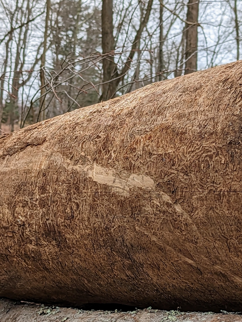 Moving Many Logs and Stumps to the Compost Yard - The Martha Stewart Blog