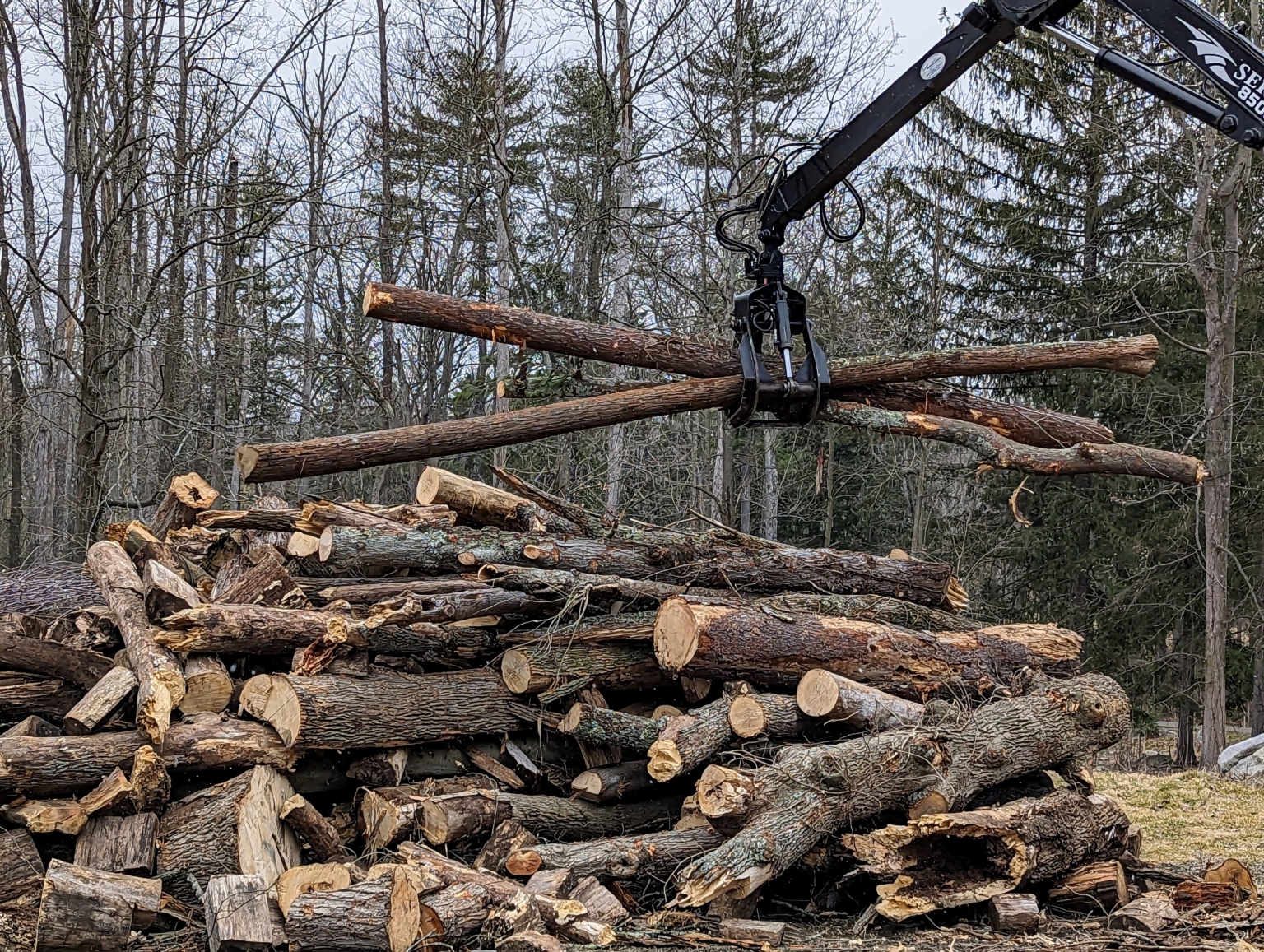 Moving Many Logs and Stumps to the Compost Yard - The Martha Stewart Blog