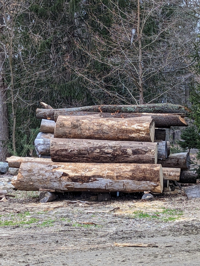 Moving Many Logs and Stumps to the Compost Yard - The Martha Stewart Blog