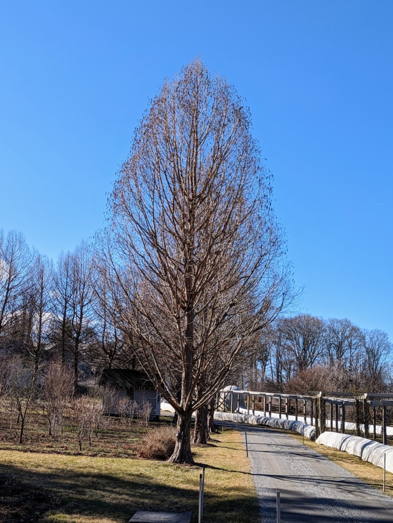 Signs of Spring at My Farm - The Martha Stewart Blog