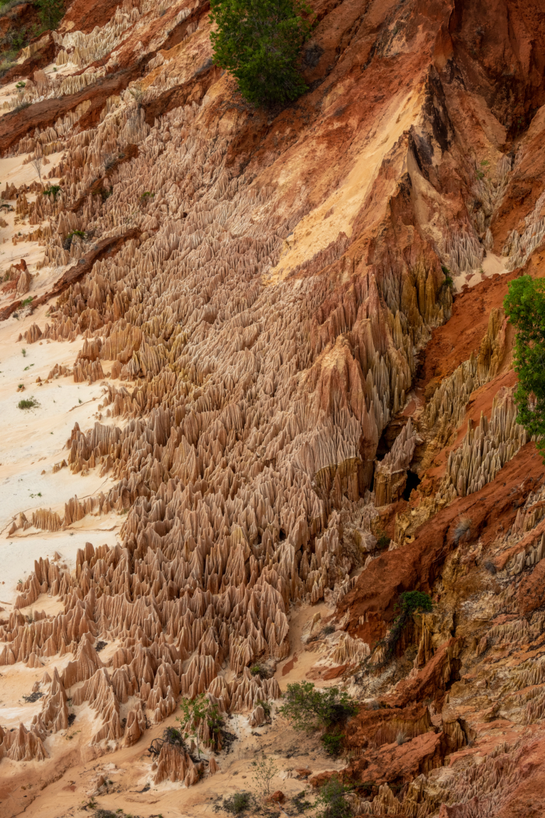 Photos from My Trip to Madagascar - The Martha Stewart Blog