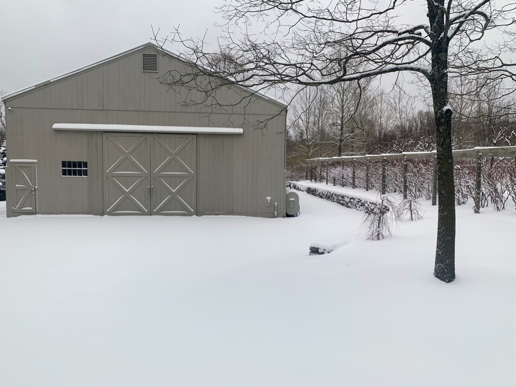 The Martha Stewart Blog : Blog Archive A Late February Snow at My Farm ...