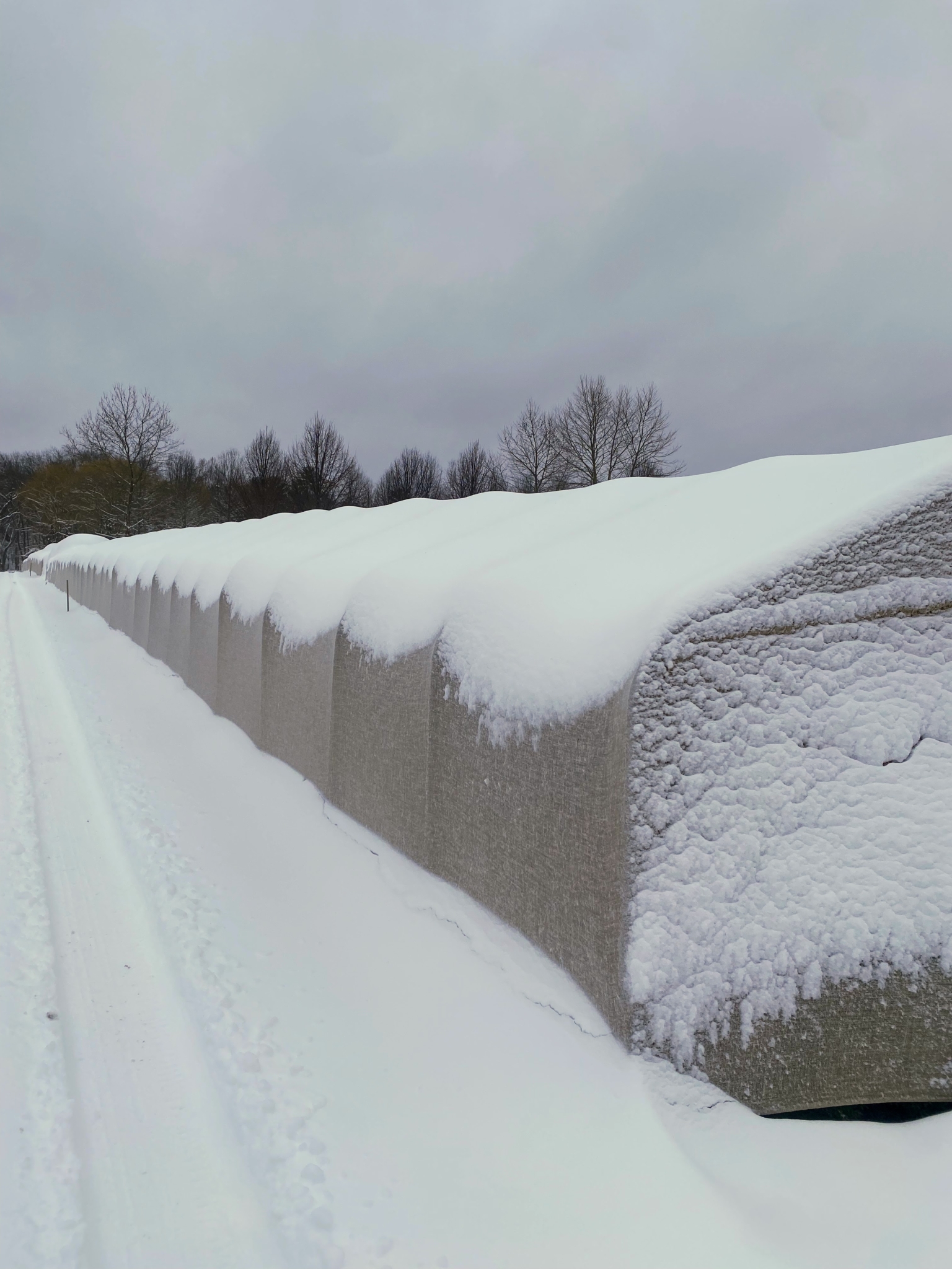 A Late February Snow at My Farm - The Martha Stewart Blog
