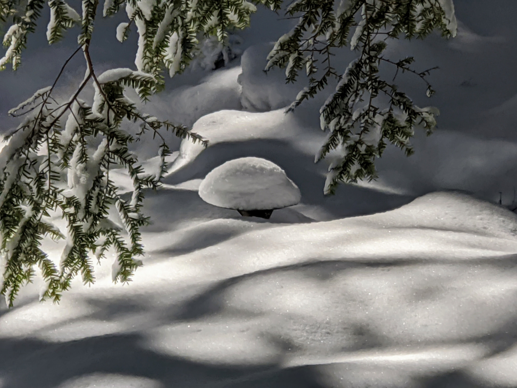 Snow Falls Over Skylands - The Martha Stewart Blog