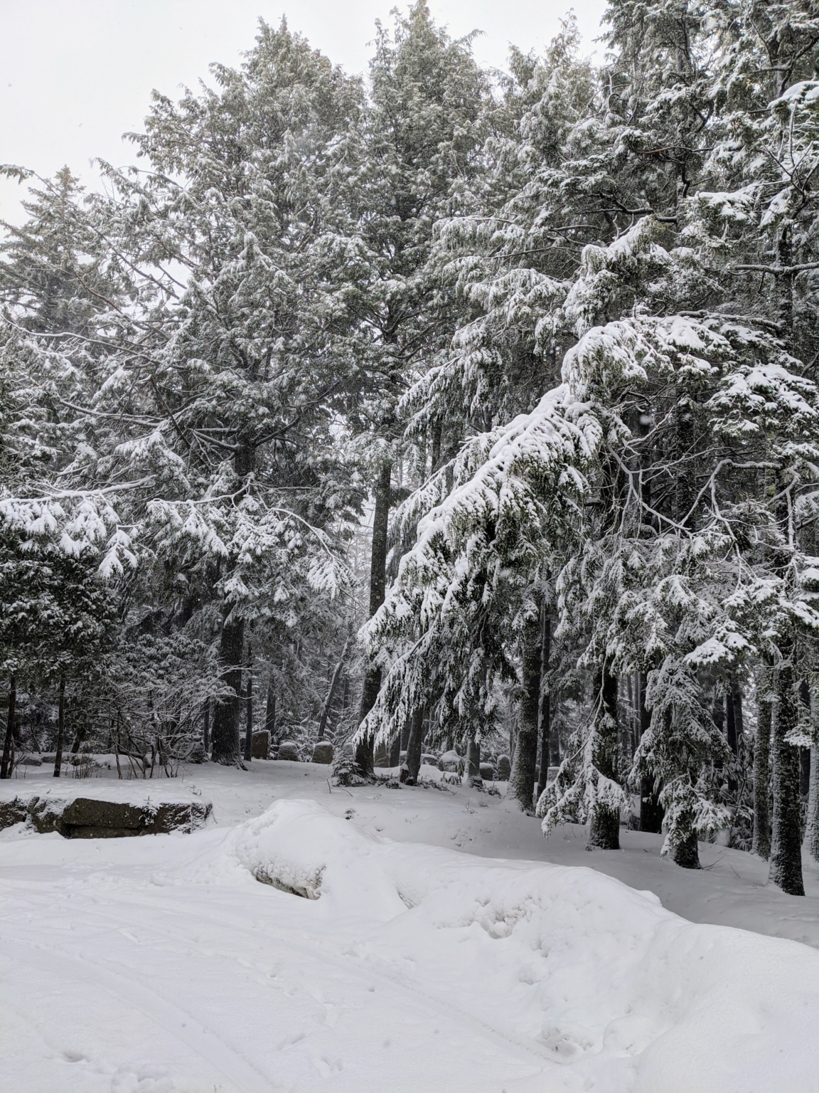Late Winter Snow at Skylands - The Martha Stewart Blog