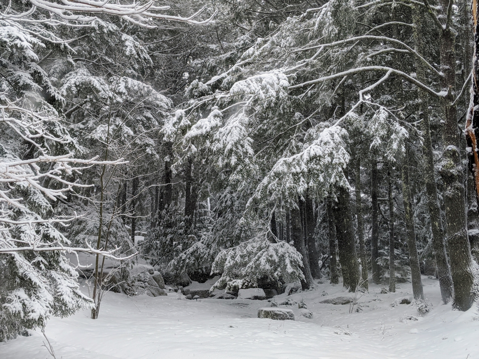Late Winter Snow at Skylands - The Martha Stewart Blog