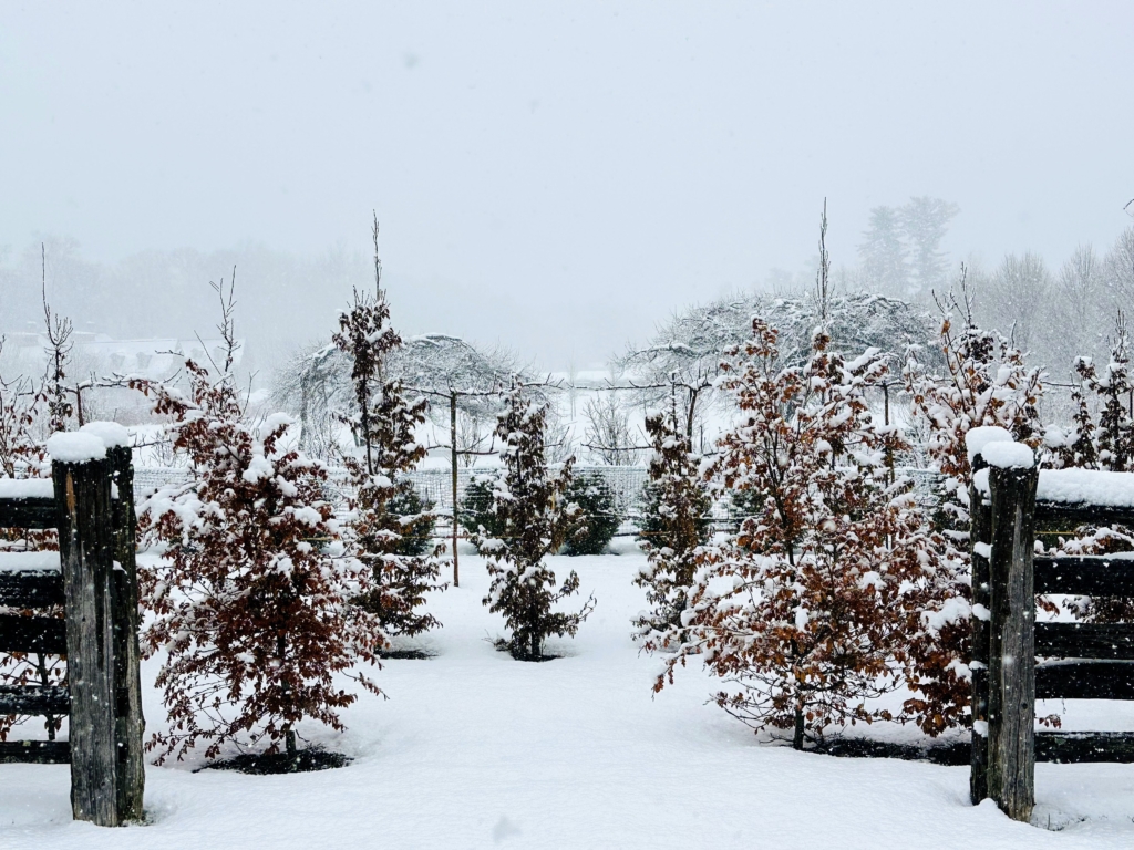 A Mid-March Nor'easter - The Martha Stewart Blog