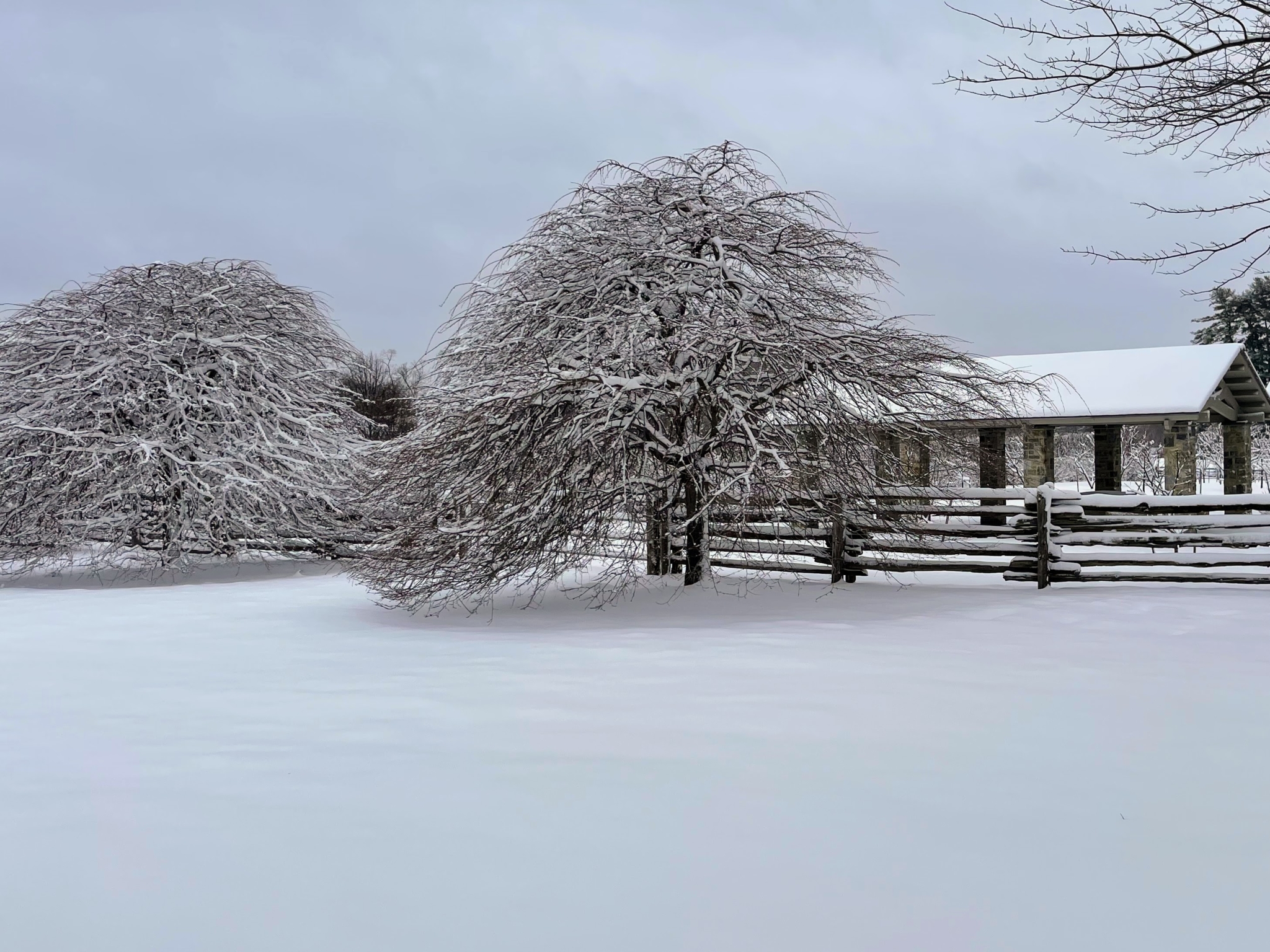 A Late February Snow at My Farm - The Martha Stewart Blog