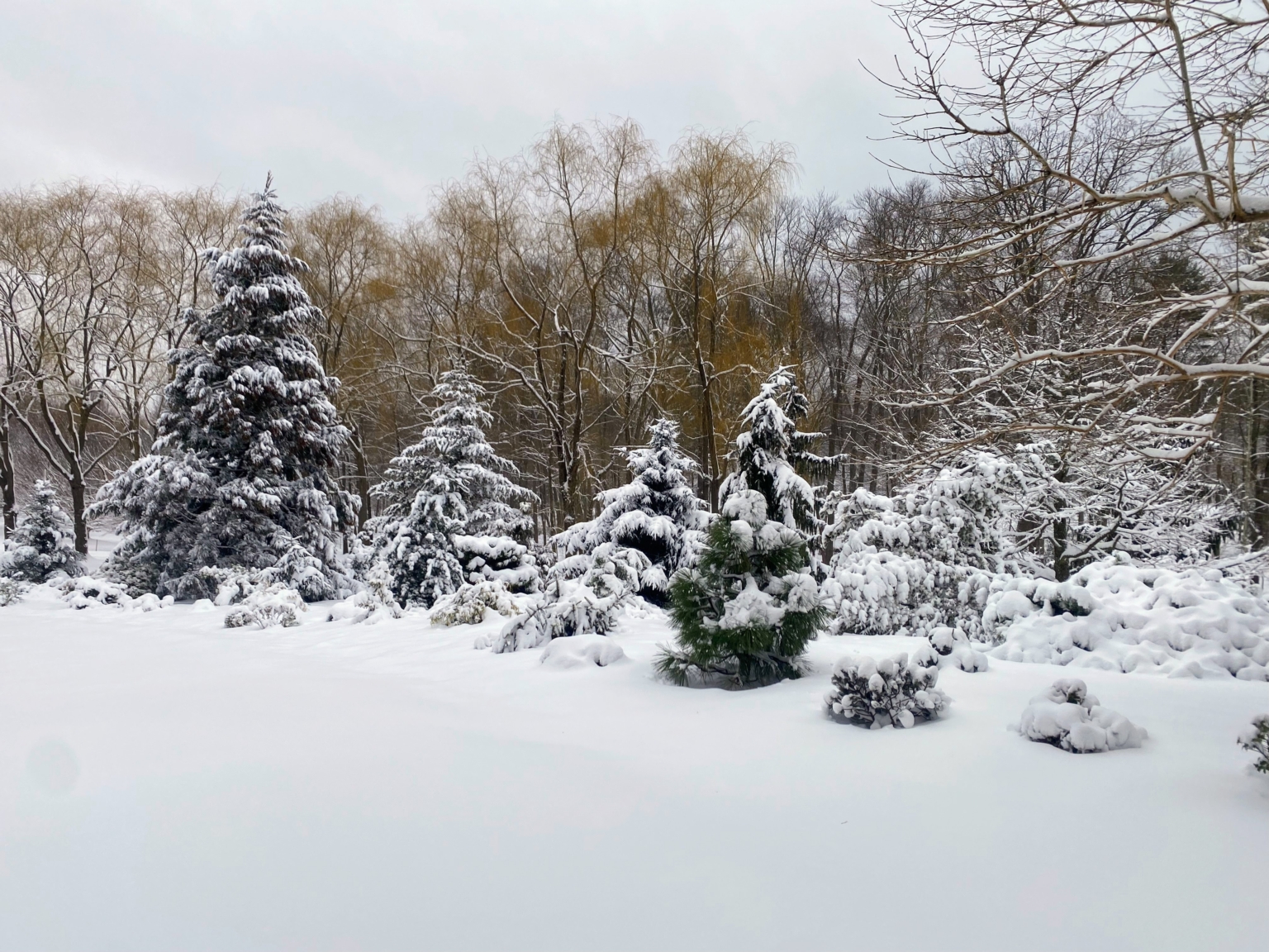A Late February Snow at My Farm - The Martha Stewart Blog