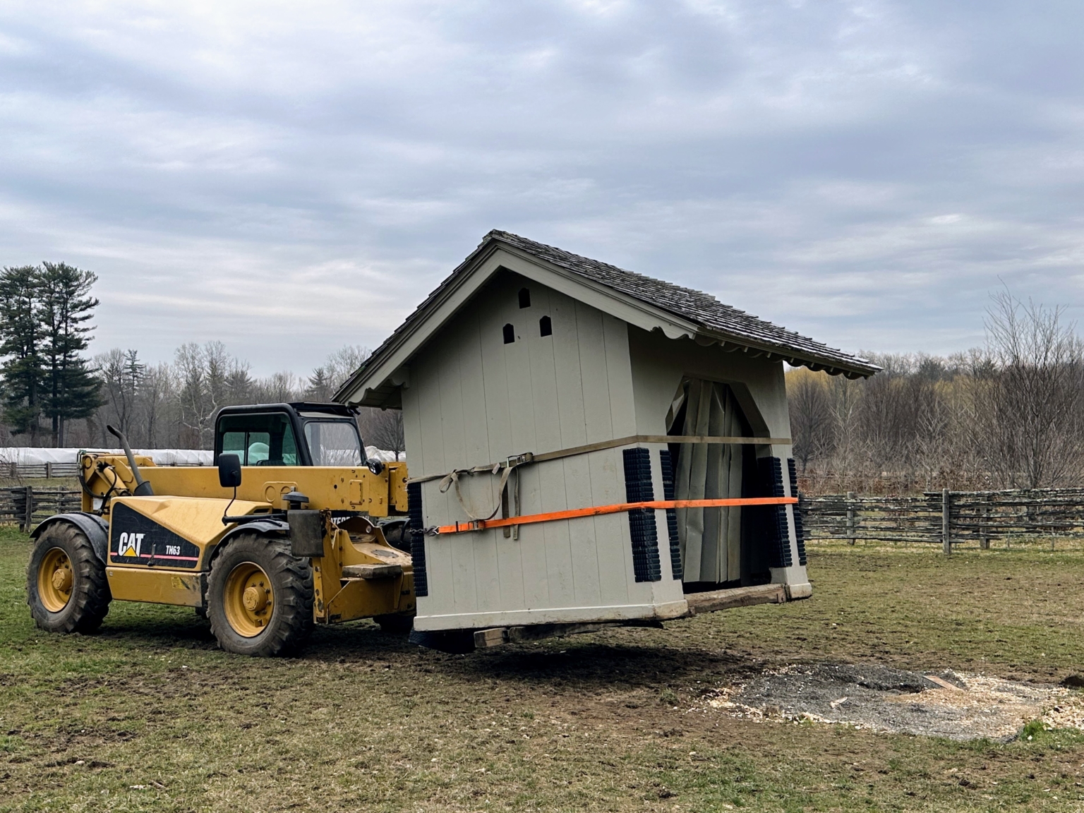 Moving the Donkeys to a Different Pasture - The Martha Stewart Blog