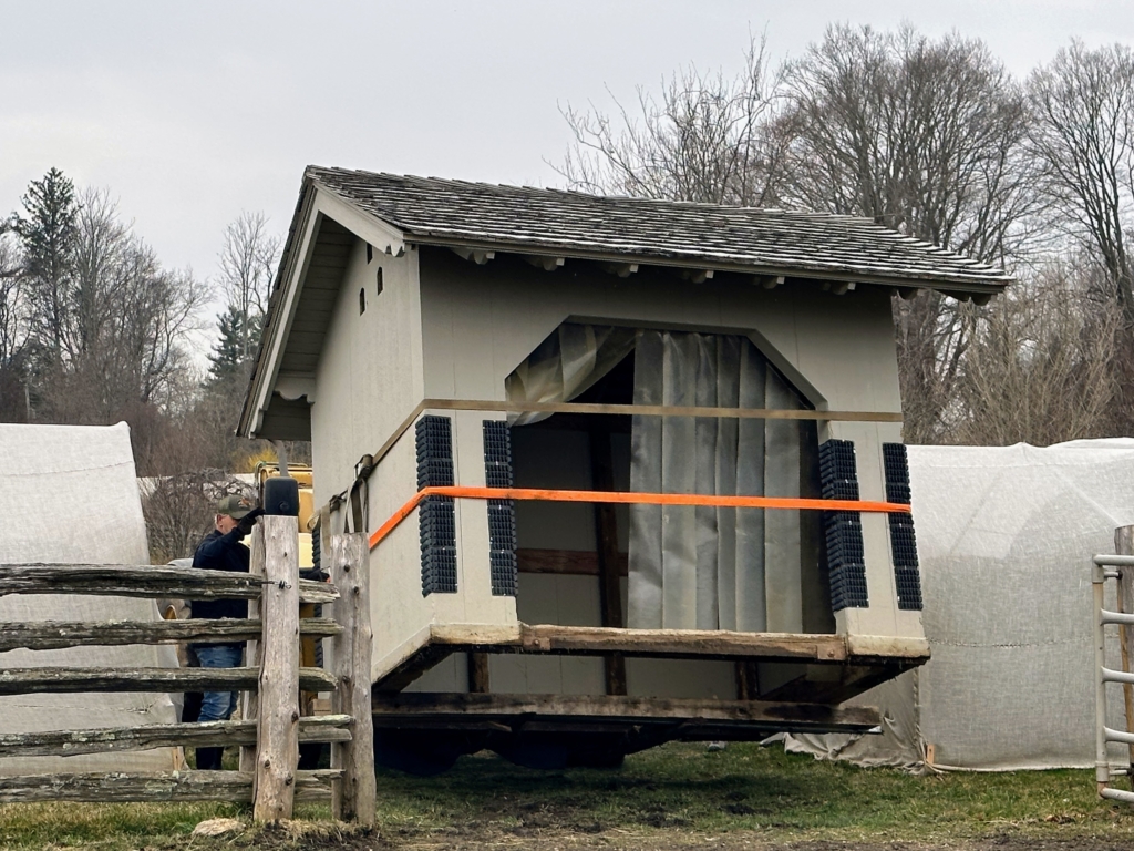 Moving the Donkeys to a Different Pasture - The Martha Stewart Blog
