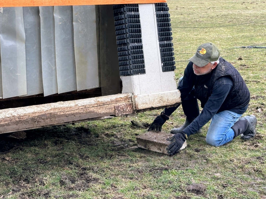 Moving the Donkeys to a Different Pasture - The Martha Stewart Blog