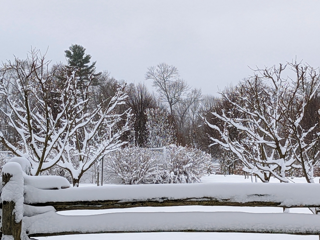 A Late February Snow at My Farm - The Martha Stewart Blog