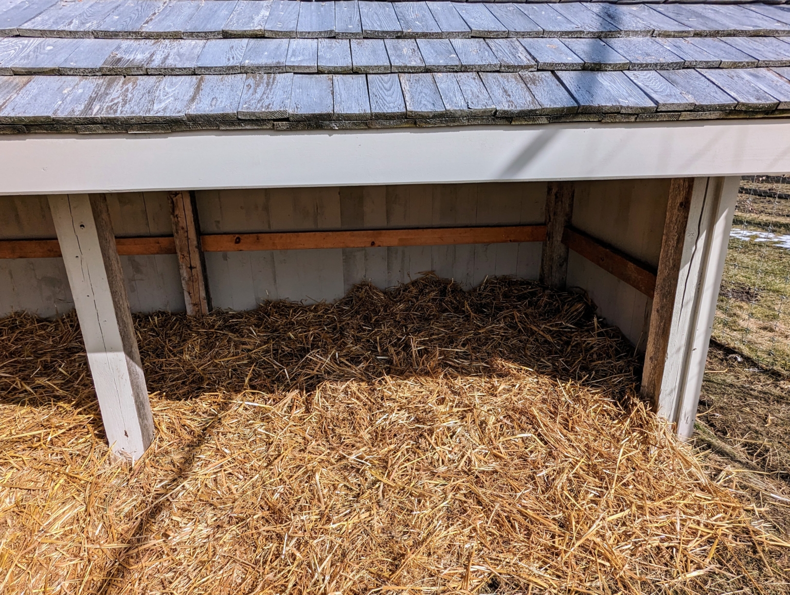 Breeding Season for My Geese - The Martha Stewart Blog