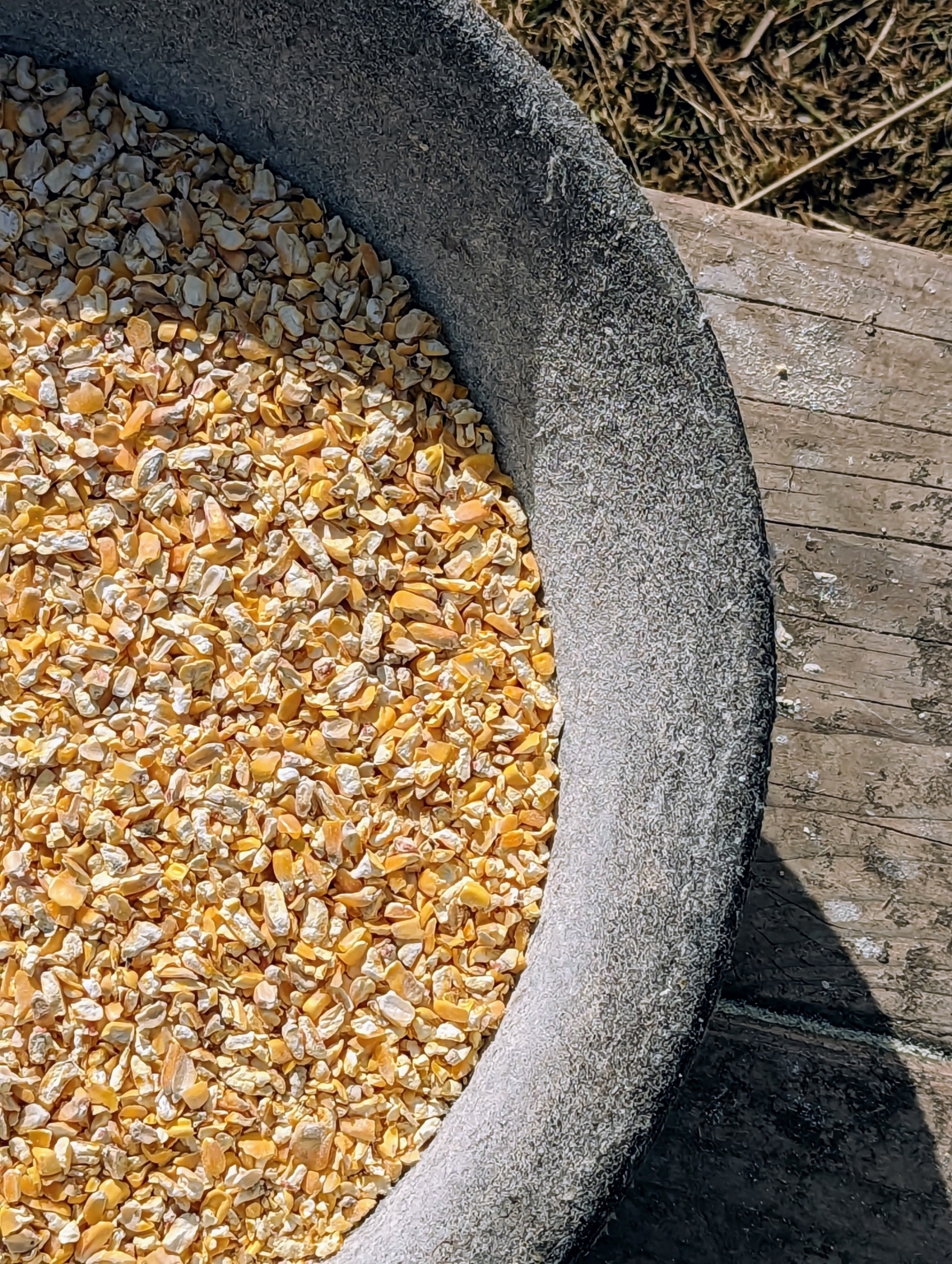 Breeding Season for My Geese - The Martha Stewart Blog