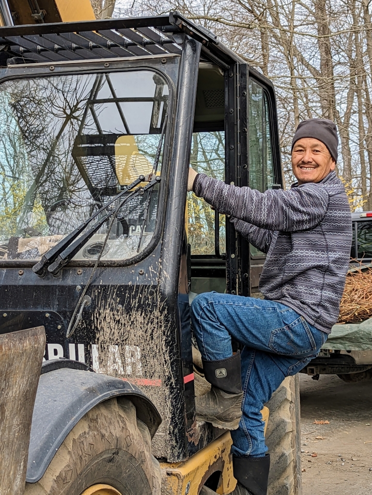 The Martha Stewart Blog : Blog Archive Pollarding My Linden Trees - The ...