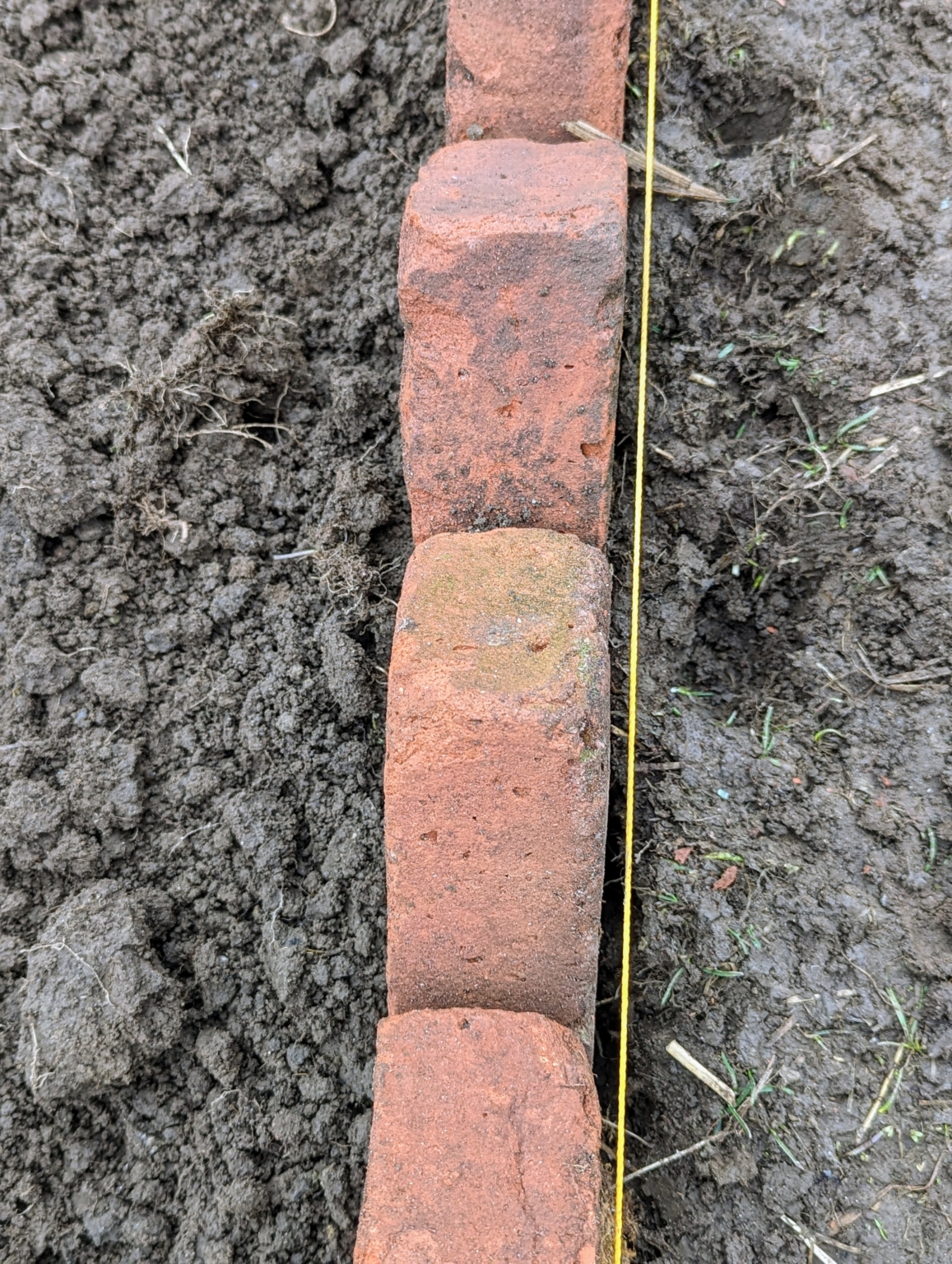 New Footpaths Through the Goose and Peafowl Pens - The Martha Stewart Blog