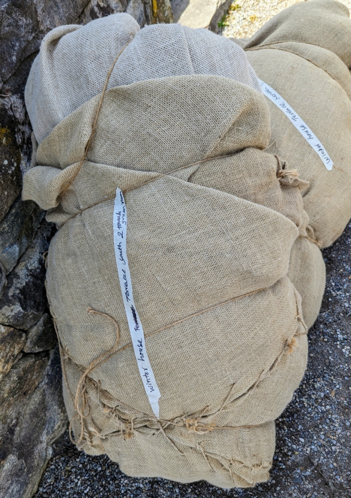 The Big Burlap Removal Process Begins at My Farm - The Martha Stewart Blog