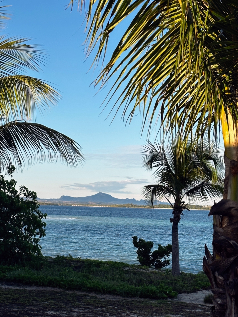 The Martha Stewart Blog : Blog Archive Blog Memories: Photos from My ...