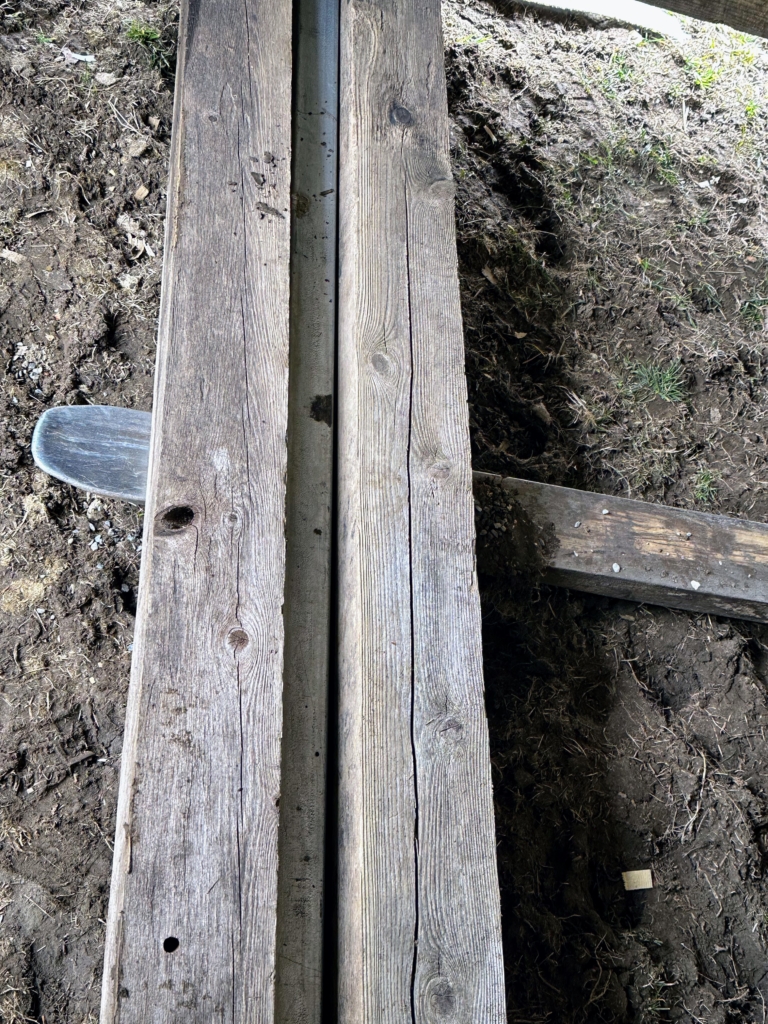 Moving the Donkeys to a Different Pasture - The Martha Stewart Blog