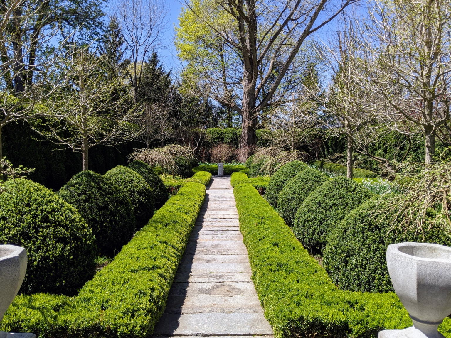 Growing Boxwood at My Farm - The Martha Stewart Blog
