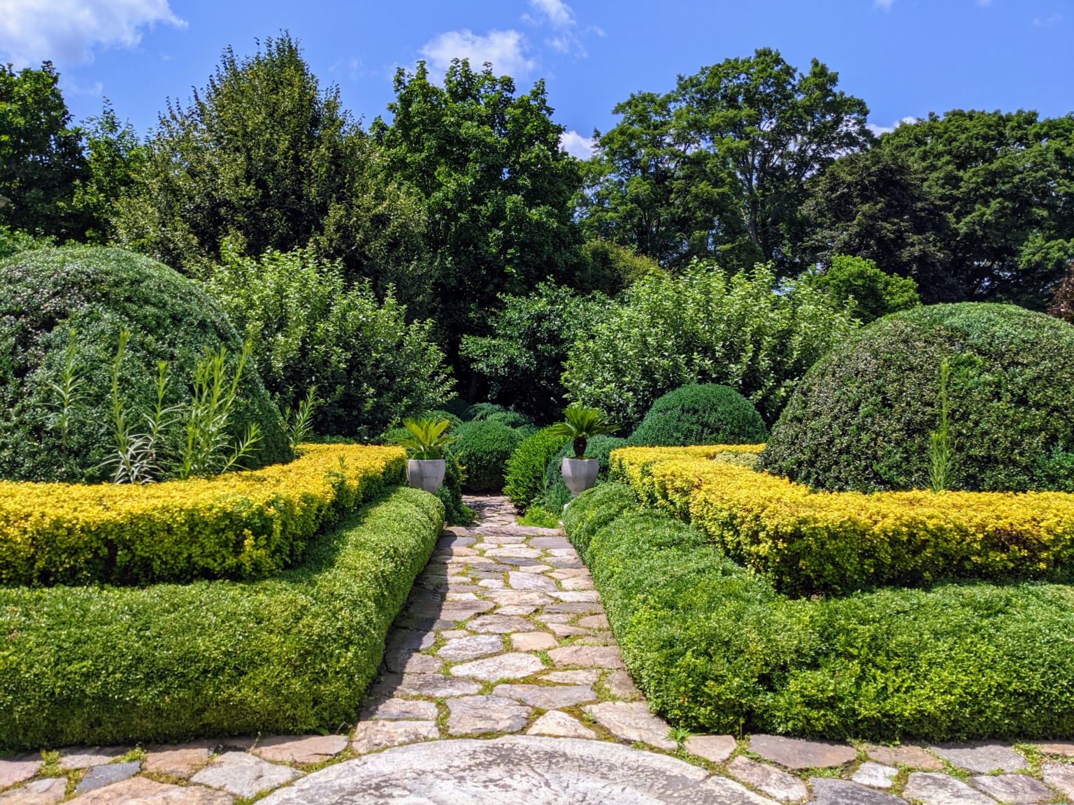 Growing Boxwood at My Farm - The Martha Stewart Blog