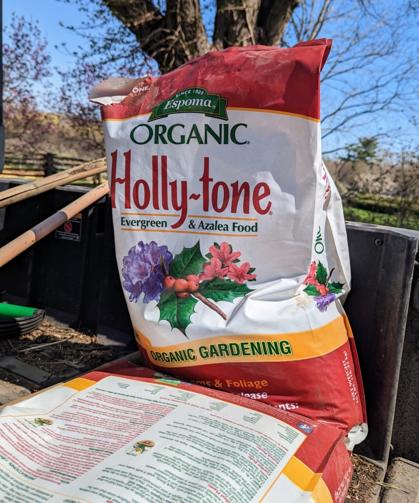 Adding Azaleas to the Garden - The Martha Stewart Blog